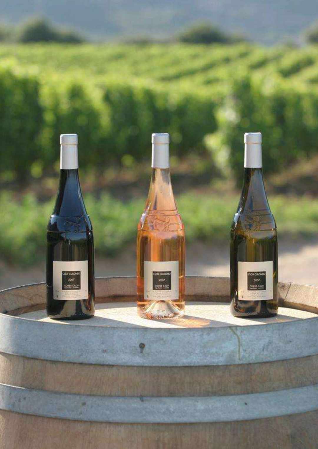 DOMAINE LE CLOS COLUMBU – CALVI FUN SPIRIT